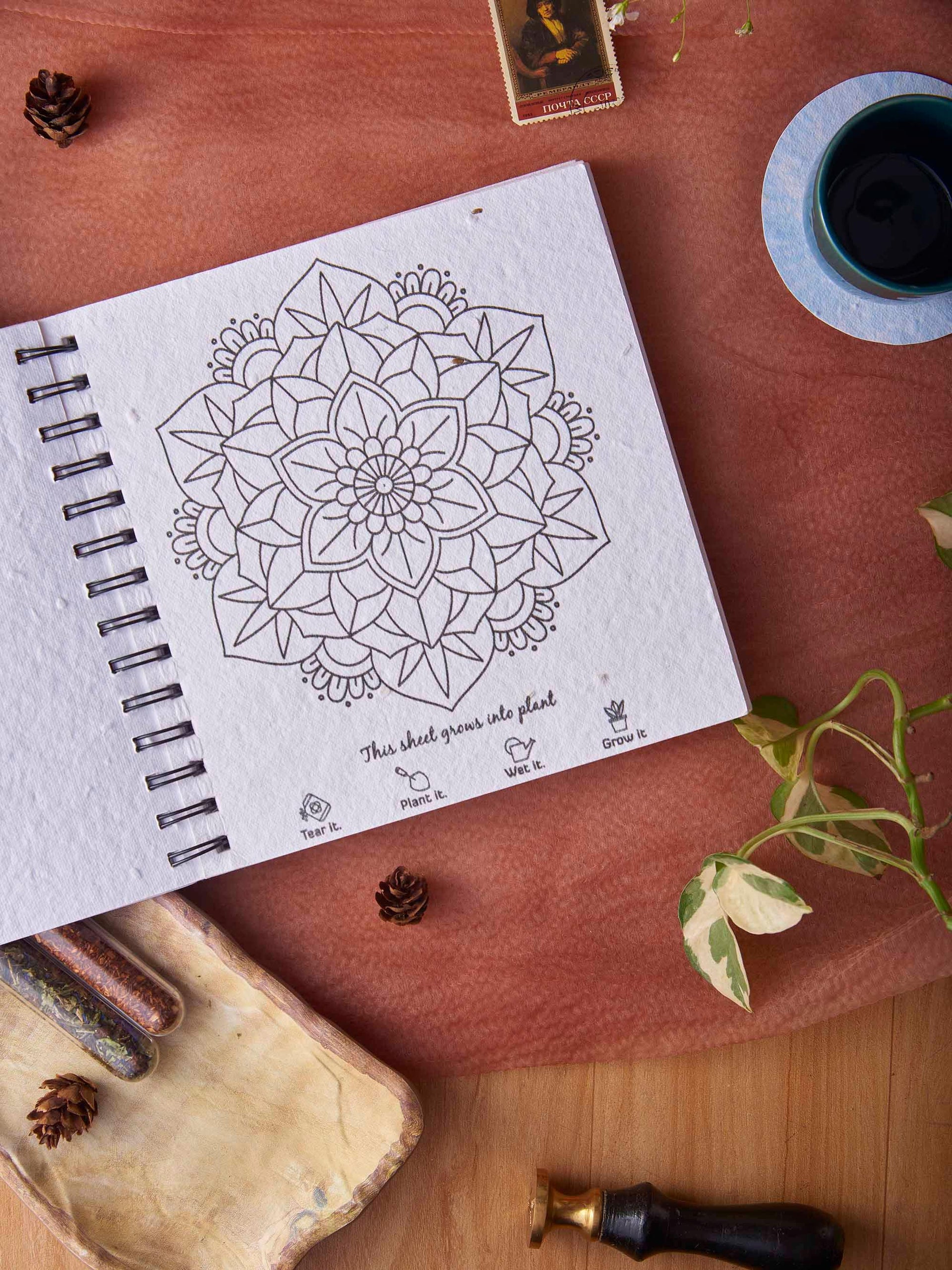 Order Eco-Friendly Plantable Seed Paper Stationary Online