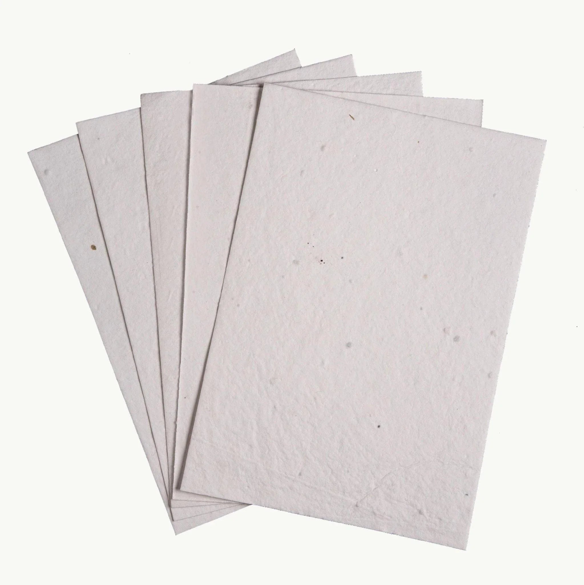 Plantable Mixed Vegetables Seed Paper | Sustainable | Handmade